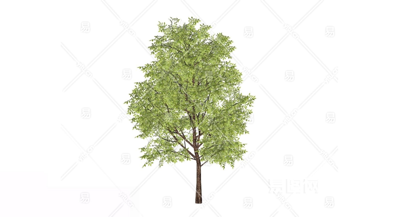 现代景观树 enscape树低模高效显示 - sketchup网